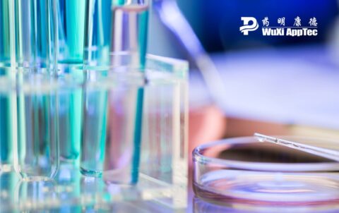 Acute Toxicity Studies: 3 Best Practices for Your IND Timeline